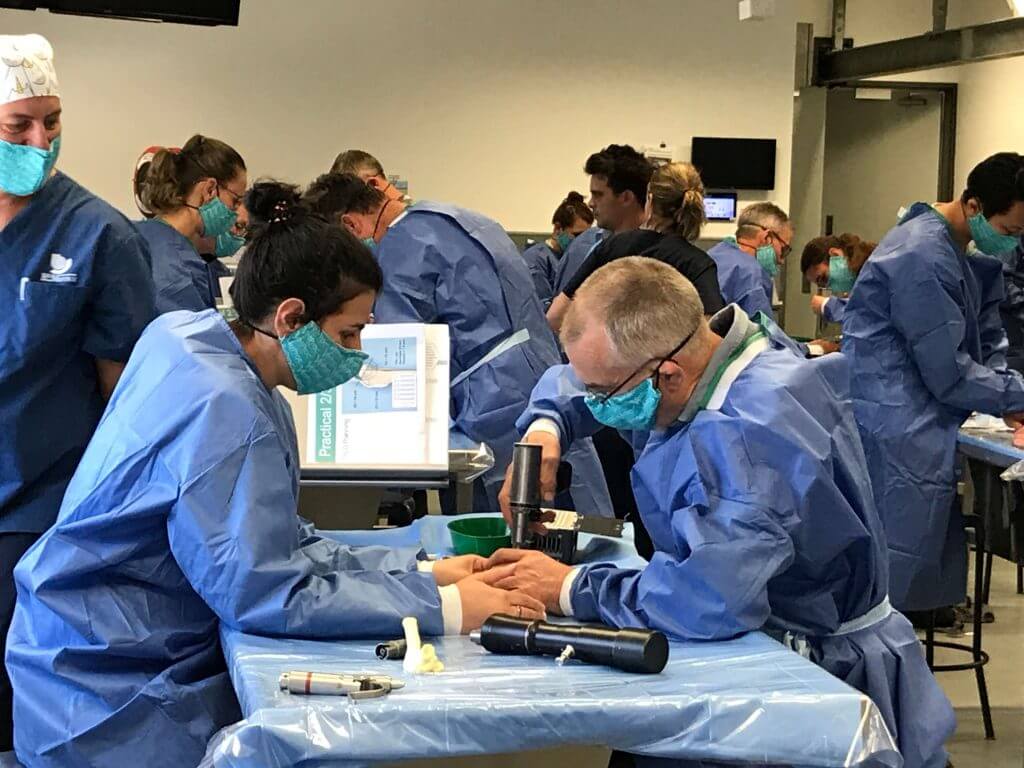 Veterinary Professional Development - VetPrac