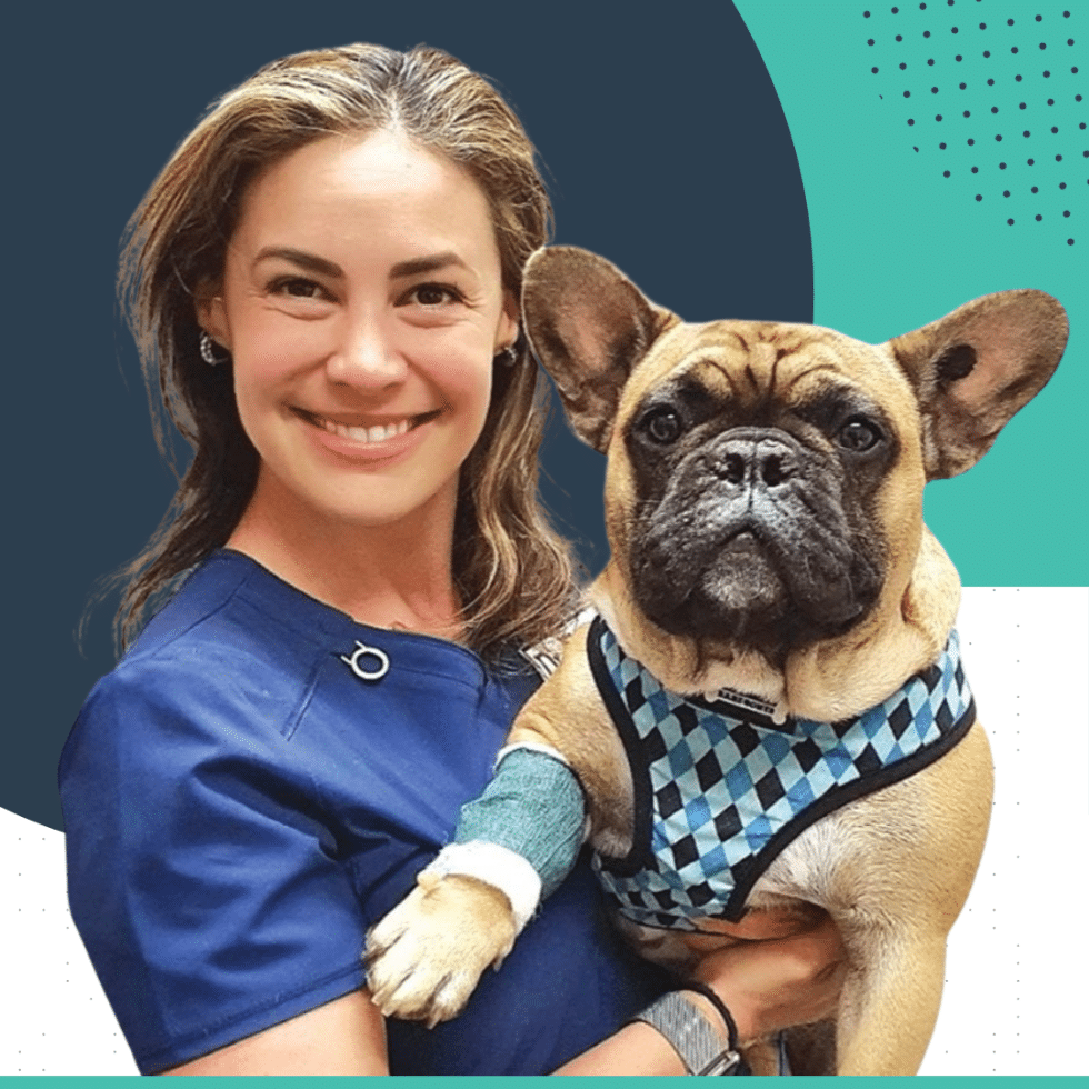 Brachycephalic & BOAS Surgery Workshop 2024 - VetPrac