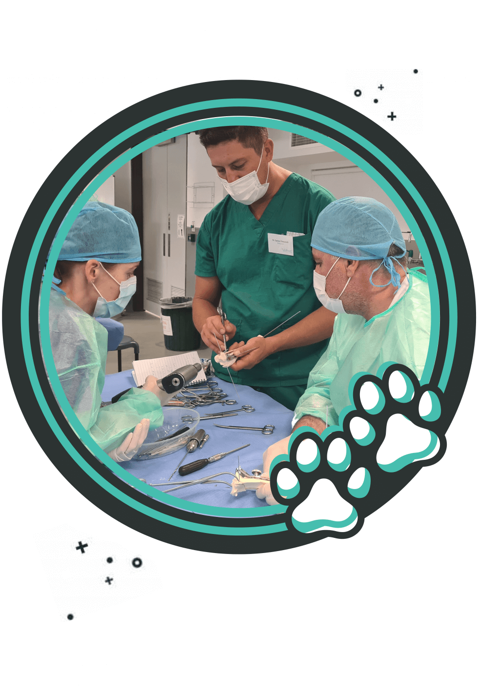 VetPrac: Vet Nurse Courses | Online Veterinary Training Australia