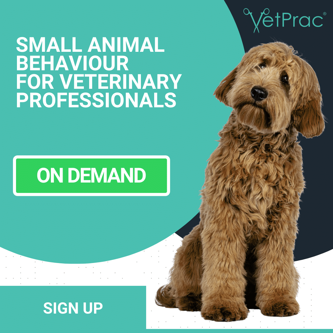 Small Animal Behaviour for Veterinary Professionals - VetPrac