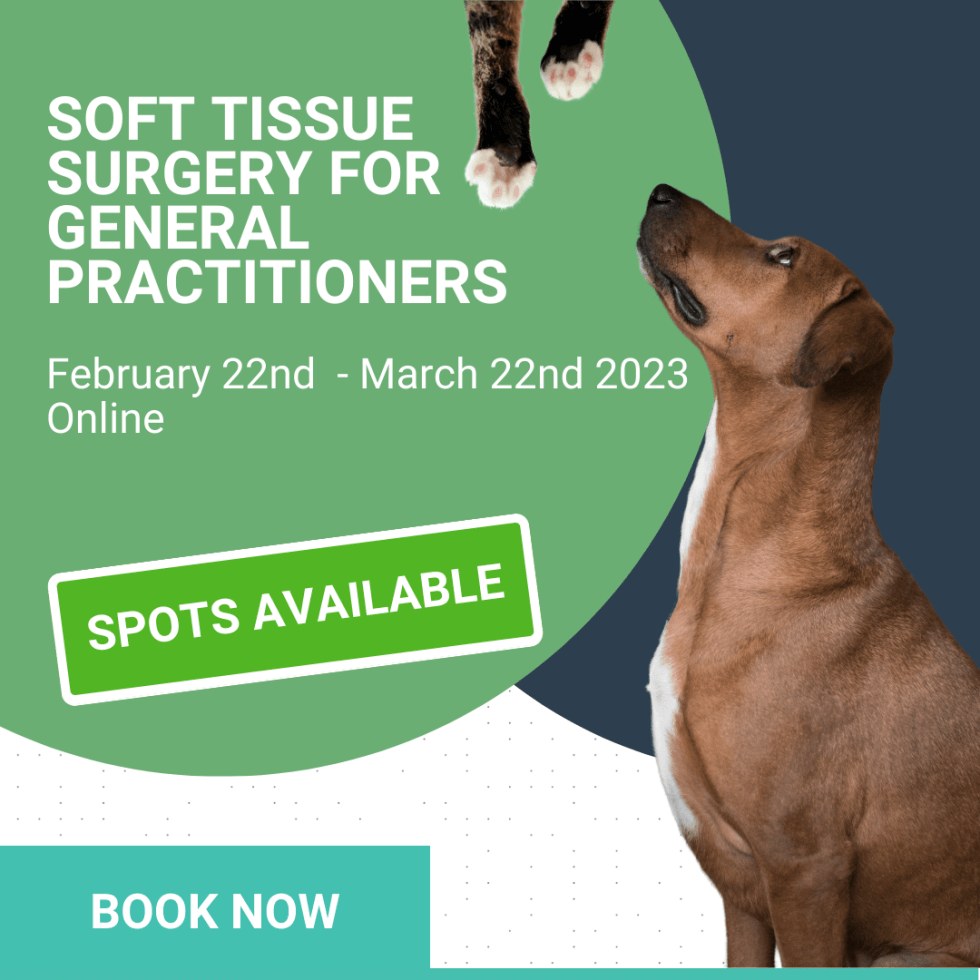 VetPrac: Vet Courses | Vet Education | Online Veterinary Training Australia