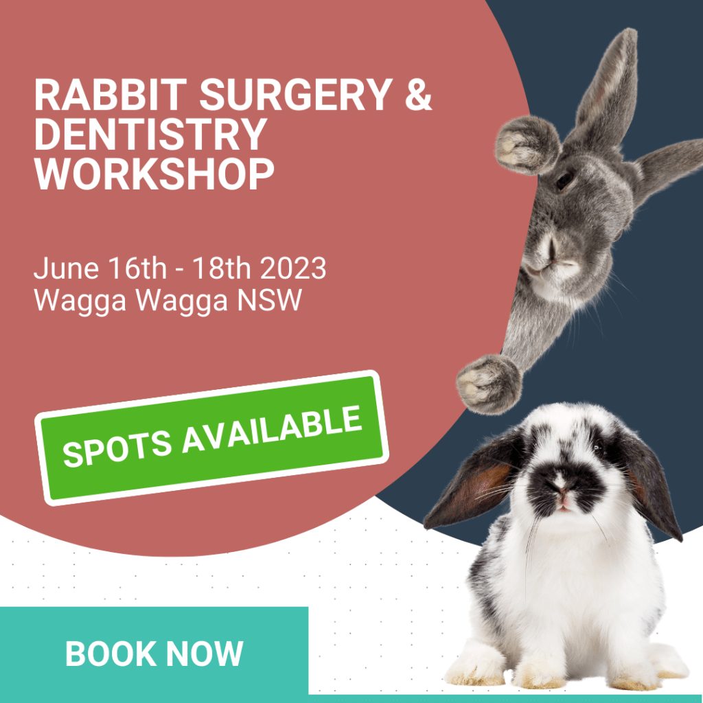 VetPrac: Vet Courses | Vet Education | Online Veterinary Training Australia