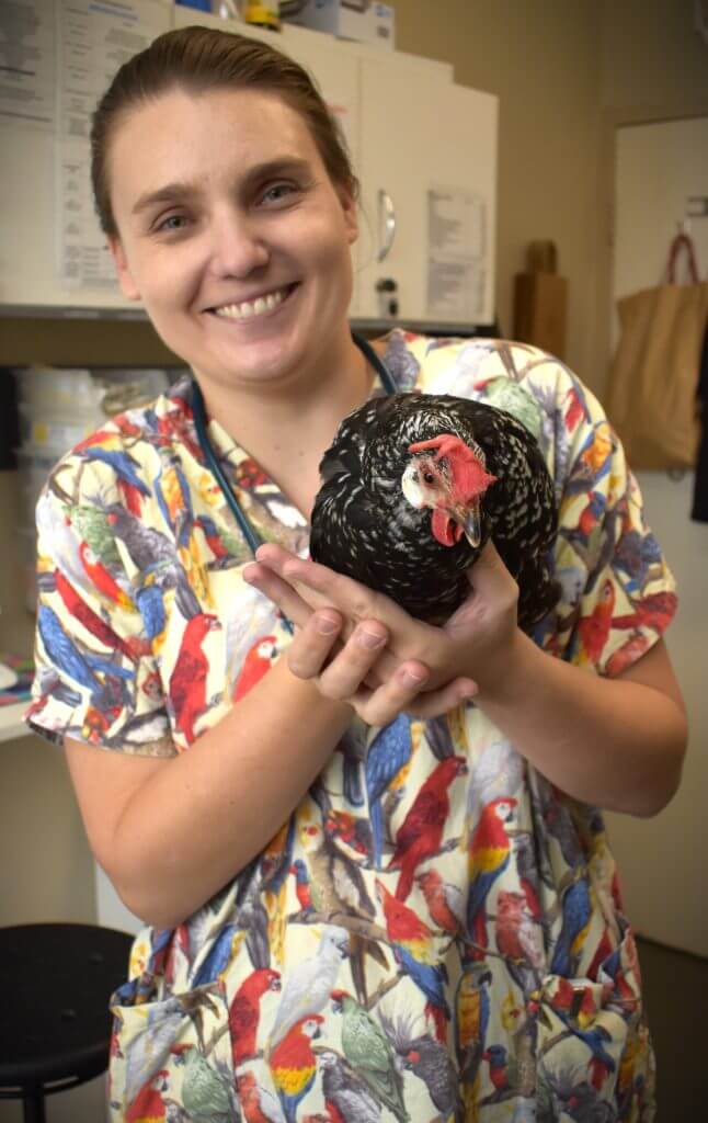 Dr Kelly Giles - VetPrac