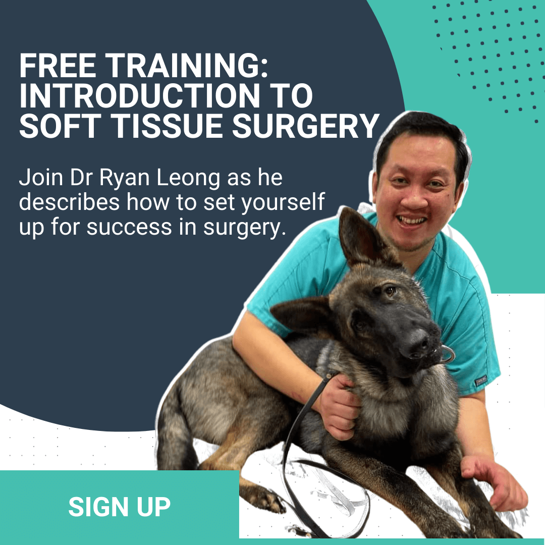 Free CPD for Vets - VetPrac