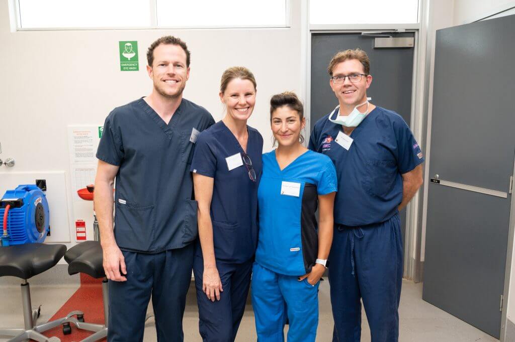 Enhance Your Veterinary Surgical Expertise with Our Brachycephalic and ...