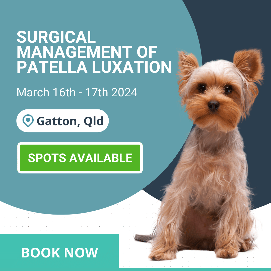 Surgical Management of Patella Luxation - VetPrac