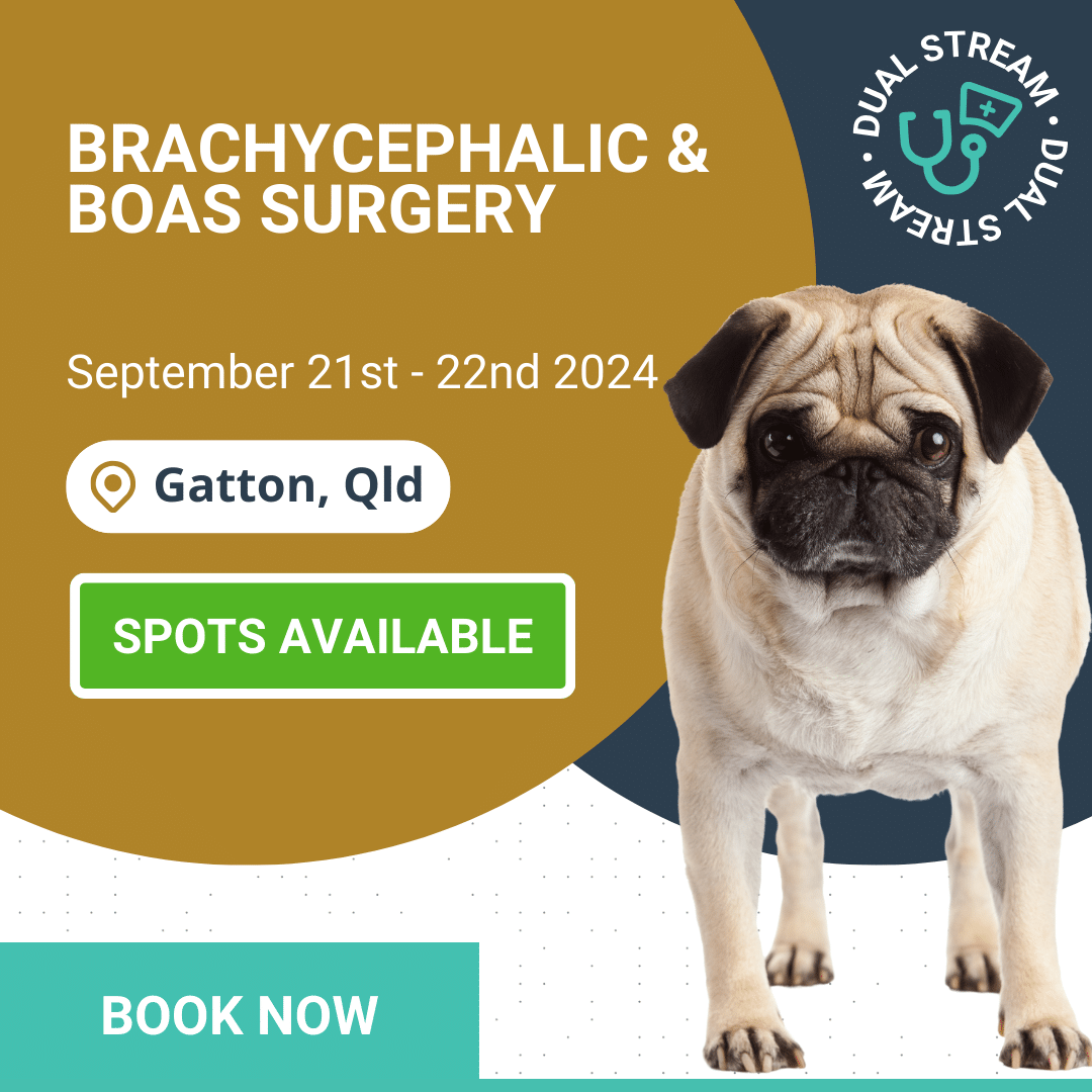 BRACHYCEPHALIC & BOAS SURGERY WORKSHOP - VetPrac