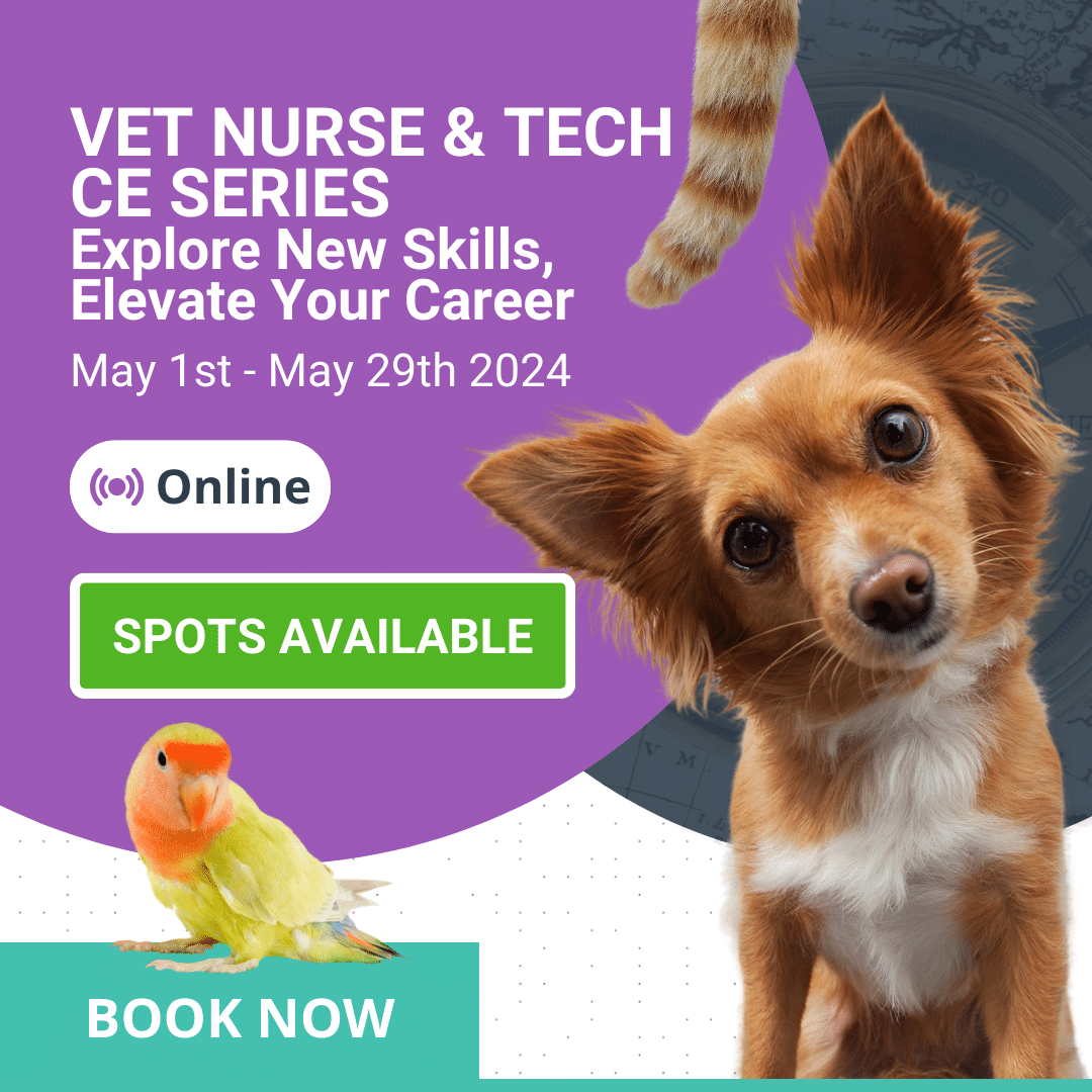 VET NURSE & TECH CE SERIES - VetPrac