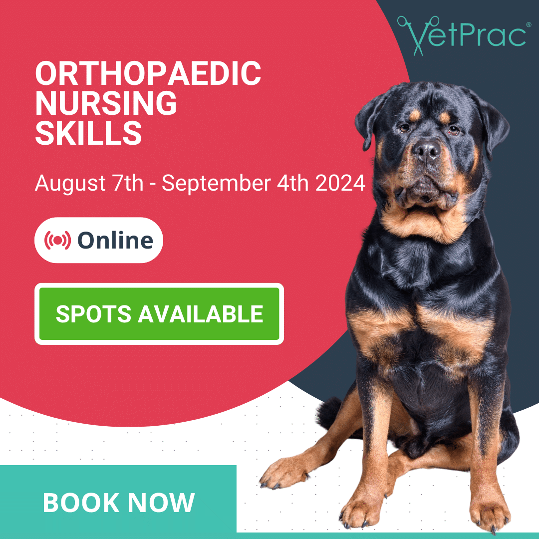 Orthopaedic Nursing Skills Vetprac