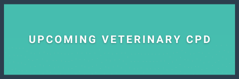 Veterinary CPD Workshops & Online Courses | VetPrac Australia