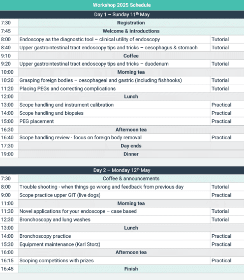 SMALL ANIMAL ENDOSCOPY: UPPER GI & AIRWAY - VetPrac