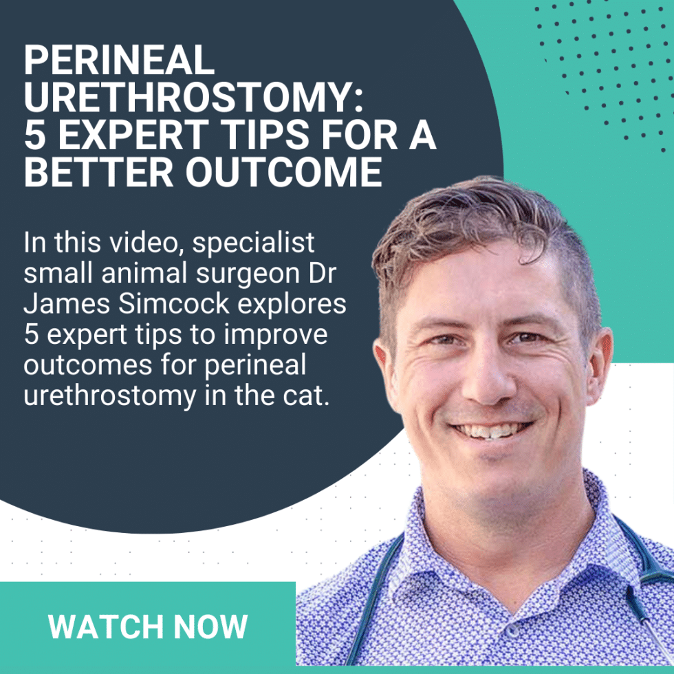 FREE VETERINARY CPD - VetPrac