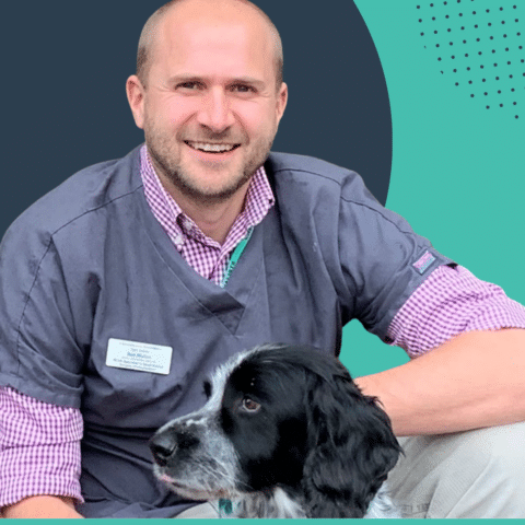 Dr Ben Walton - VetPrac