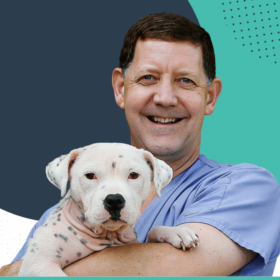 Dr Stewart Ryan - VetPrac