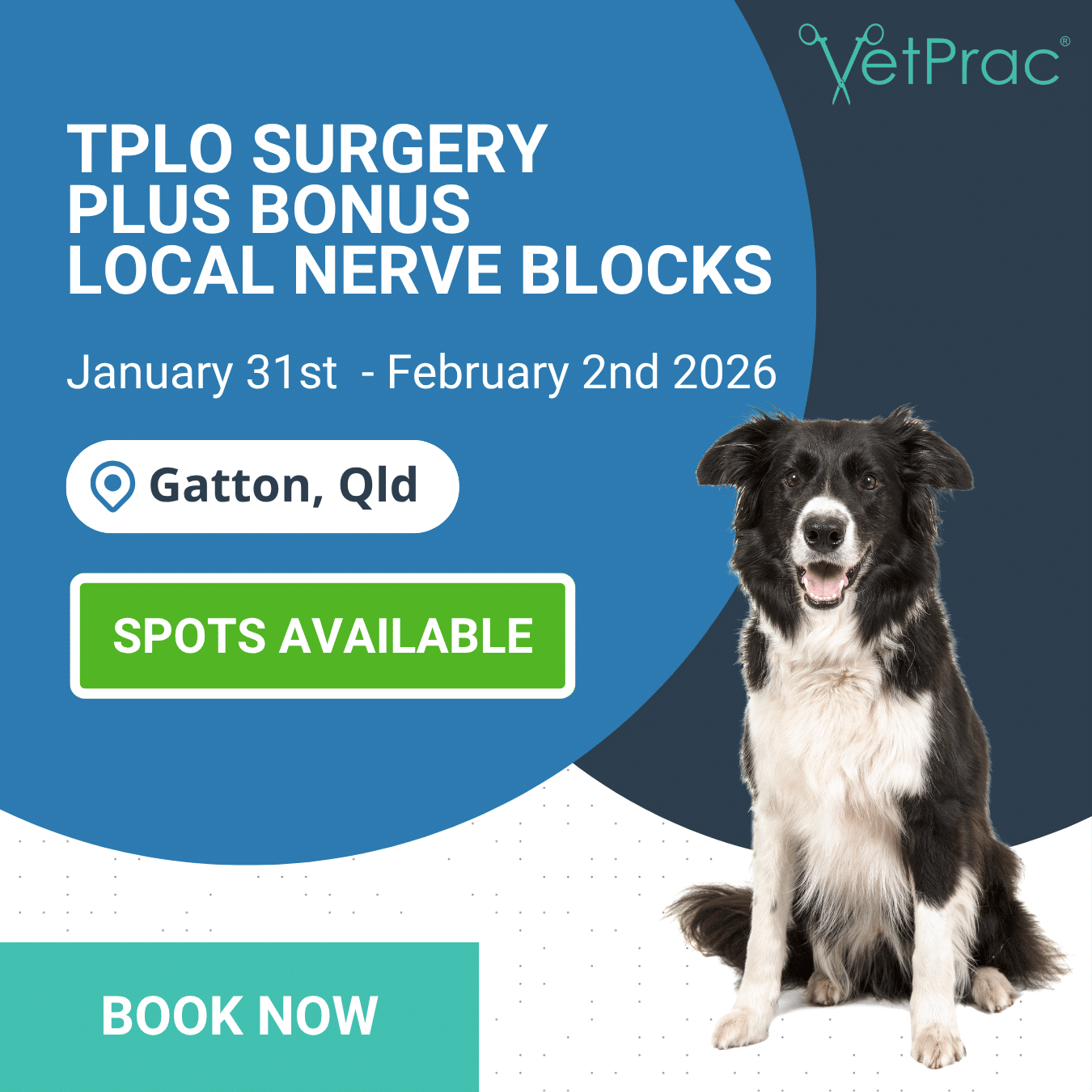 TPLO Surgery with Local Nerve Blocks - VetPrac