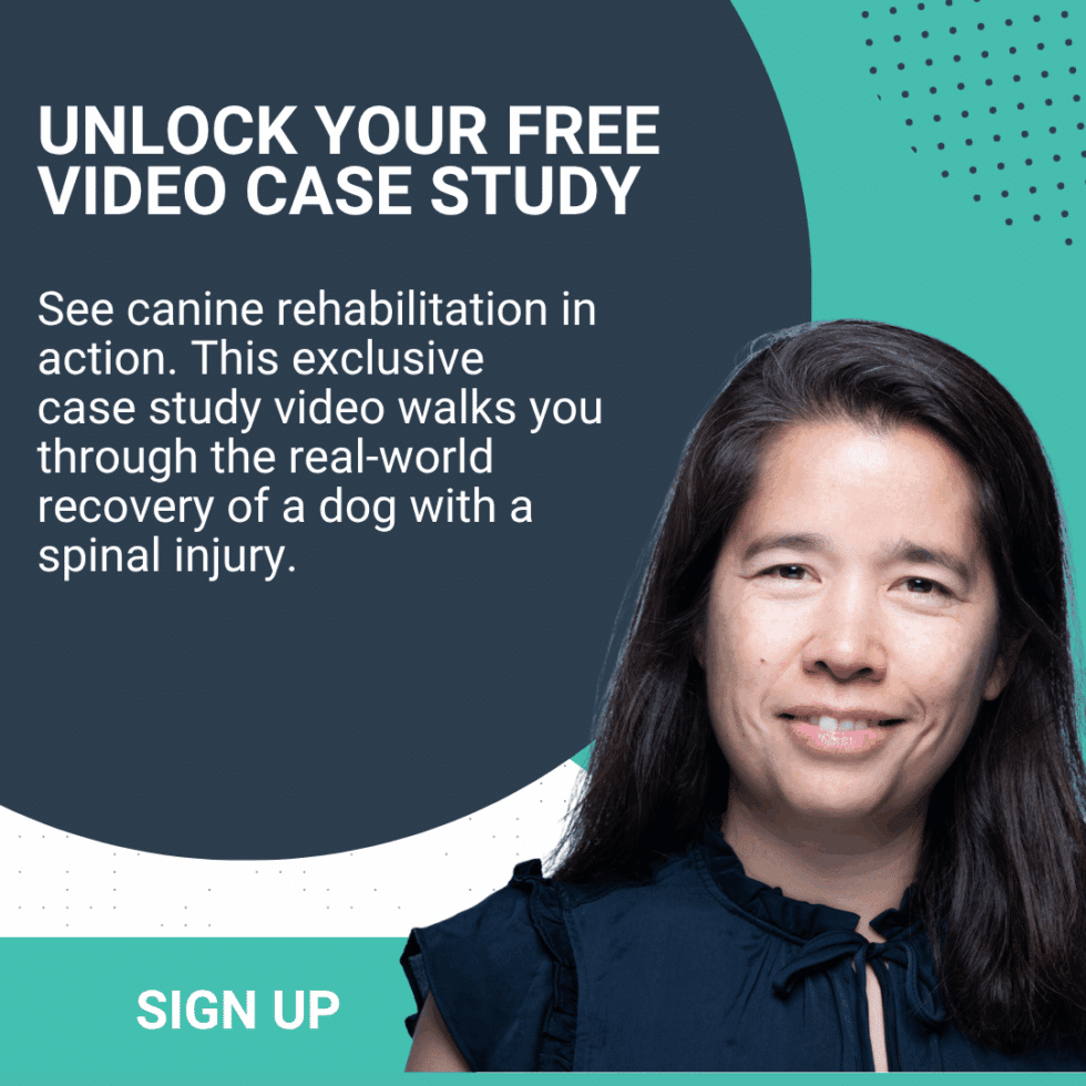 FREE VETERINARY CPD - VetPrac