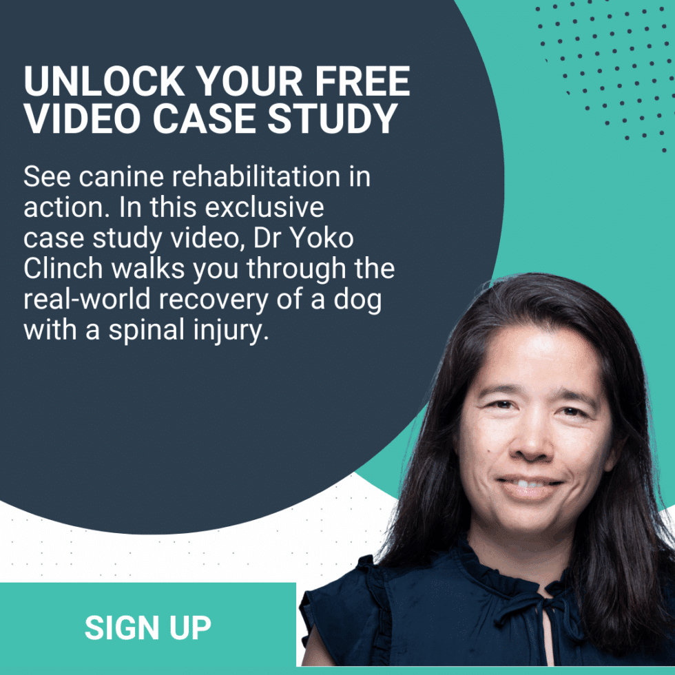 FREE VETERINARY CPD - VetPrac