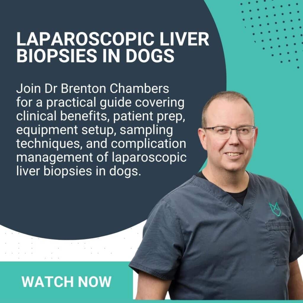 FREE VETERINARY CPD - VetPrac